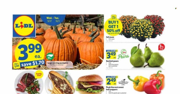 Lidl Current Sales - Weekly Ads Online