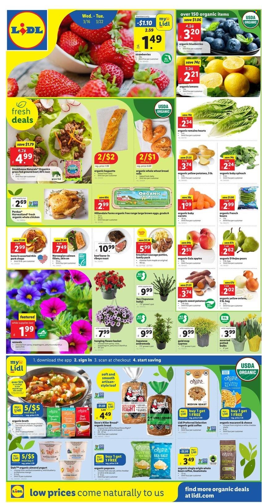 Lidl Current Sales - Weekly Ads Online
