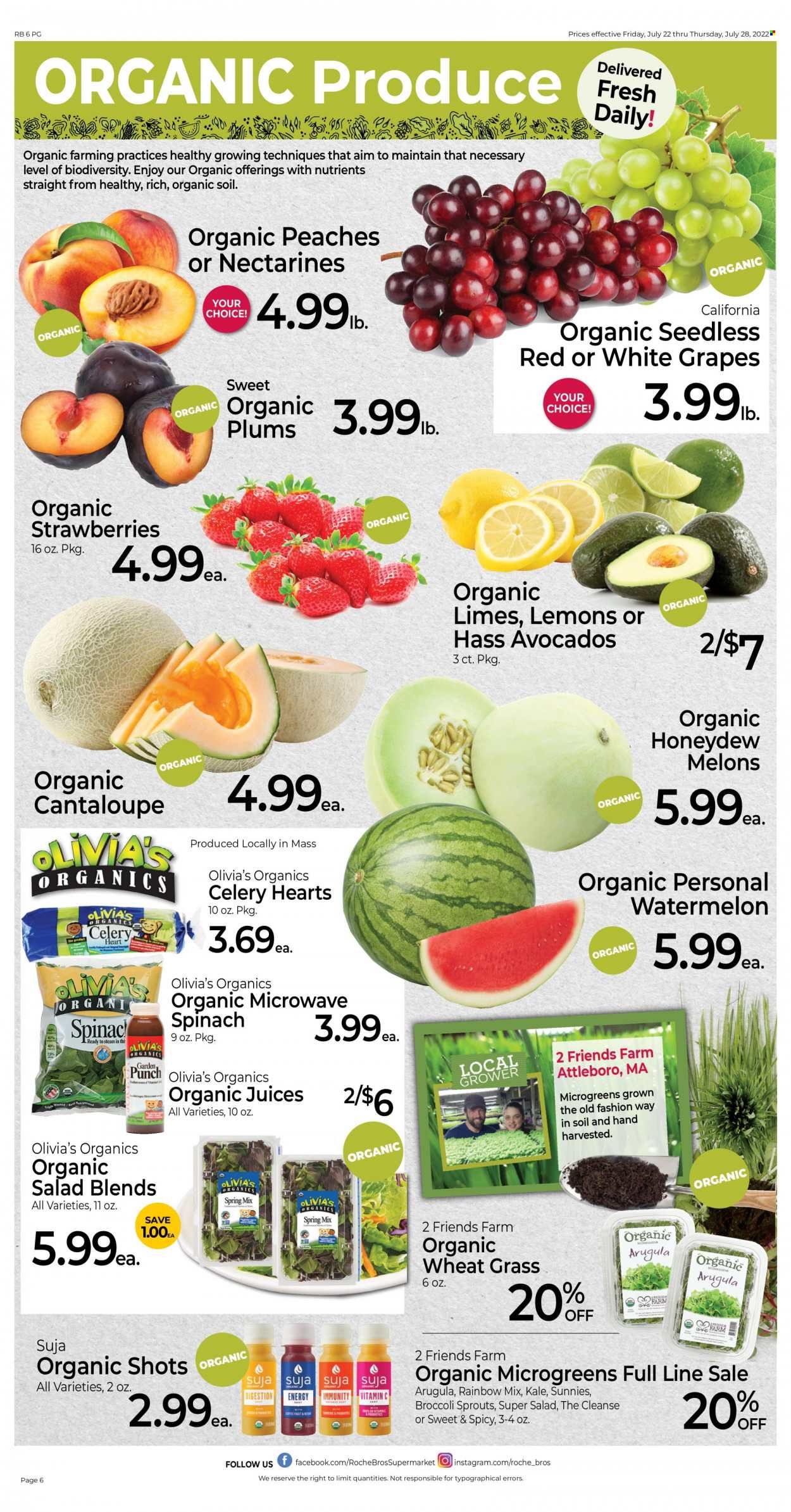 Roche Bros Current Sales - Weekly Ads Online