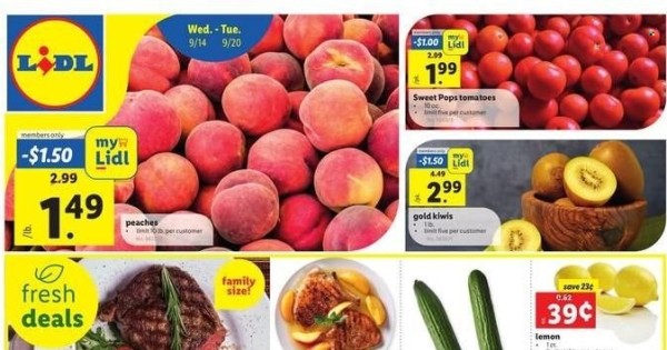 Lidl Current Sales - Weekly Ads Online