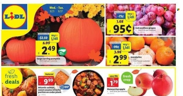 Lidl Current Sales - Weekly Ads Online