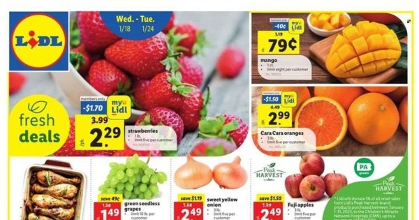Lidl Current Sales - Weekly Ads Online