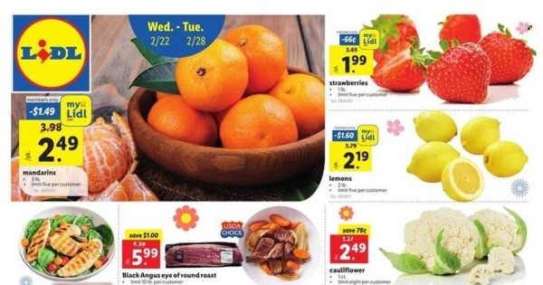 Lidl Current Sales - Weekly Ads Online