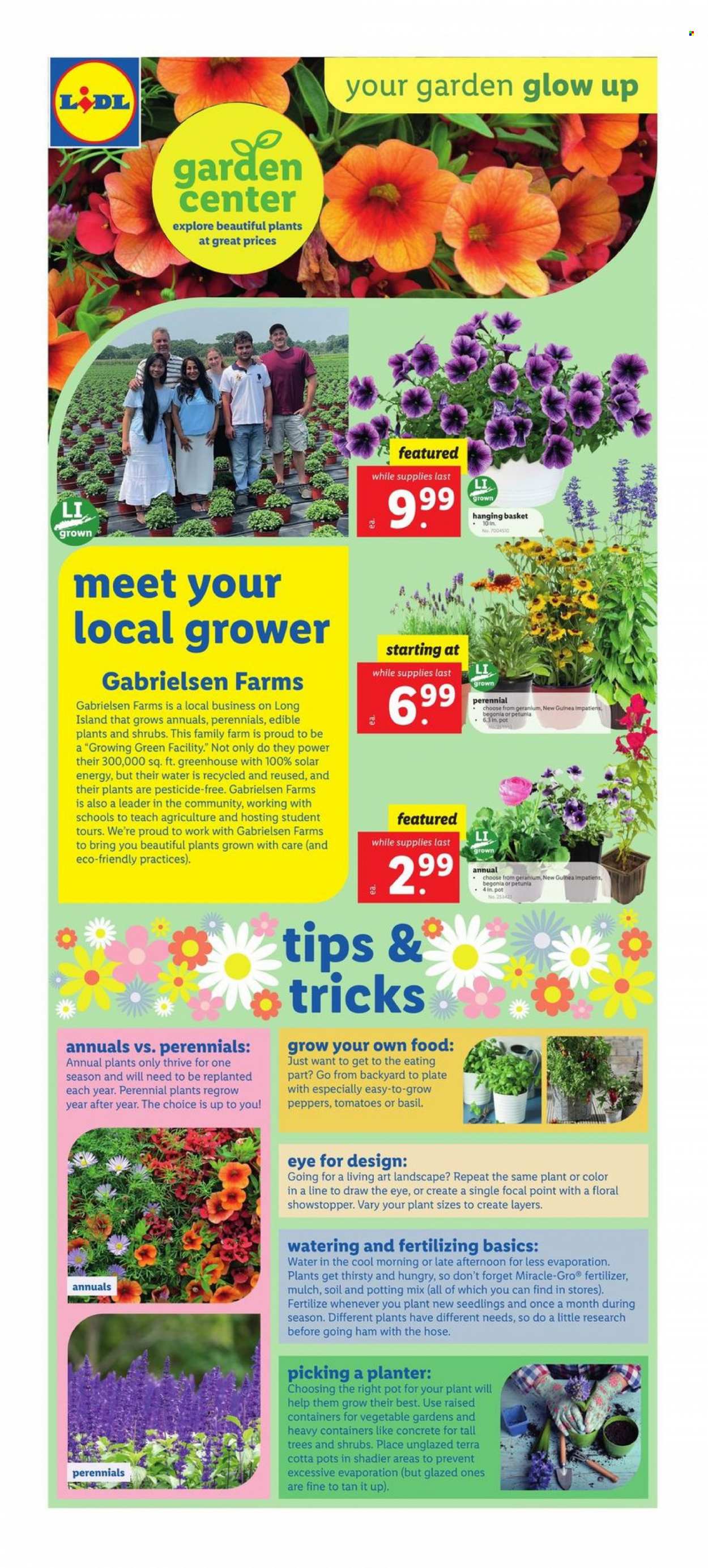 Lidl Current Sales - Weekly Ads Online